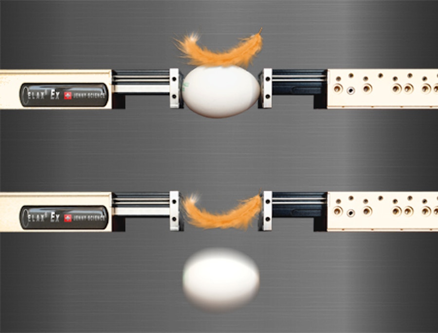 Jenny Science AG in Rain auf wlw.de